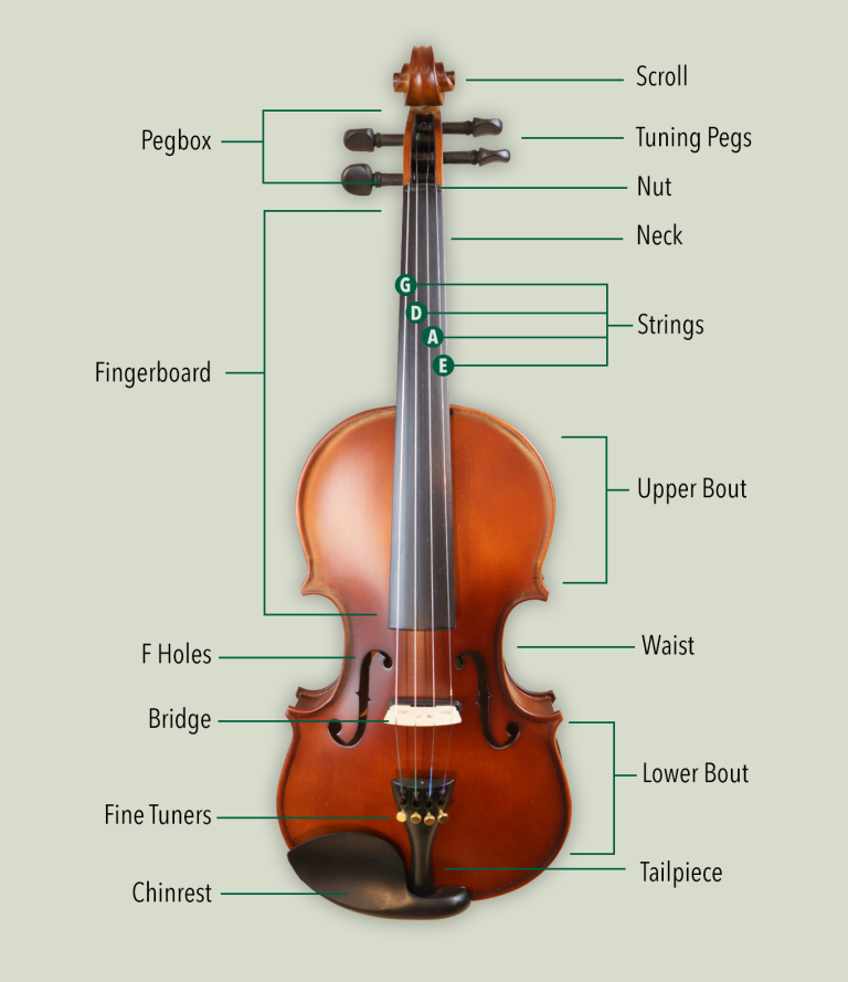 An Expert Guide to the Structure and Mechanics of the Violin