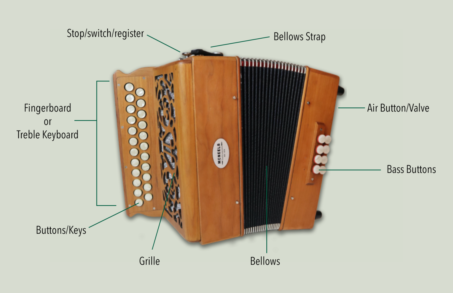 The Mechanics of the Irish Button Accordion; Everything You Need to Know