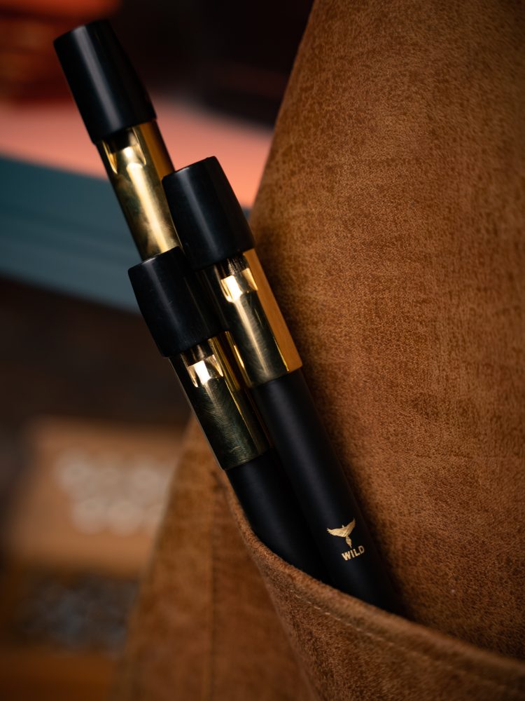 How To Find The Best Tin Whistle Lessons Online