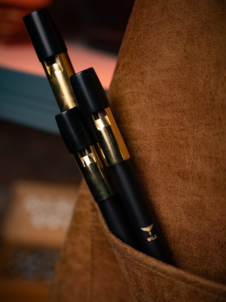 How To Find The Best Tin Whistle Lessons Online