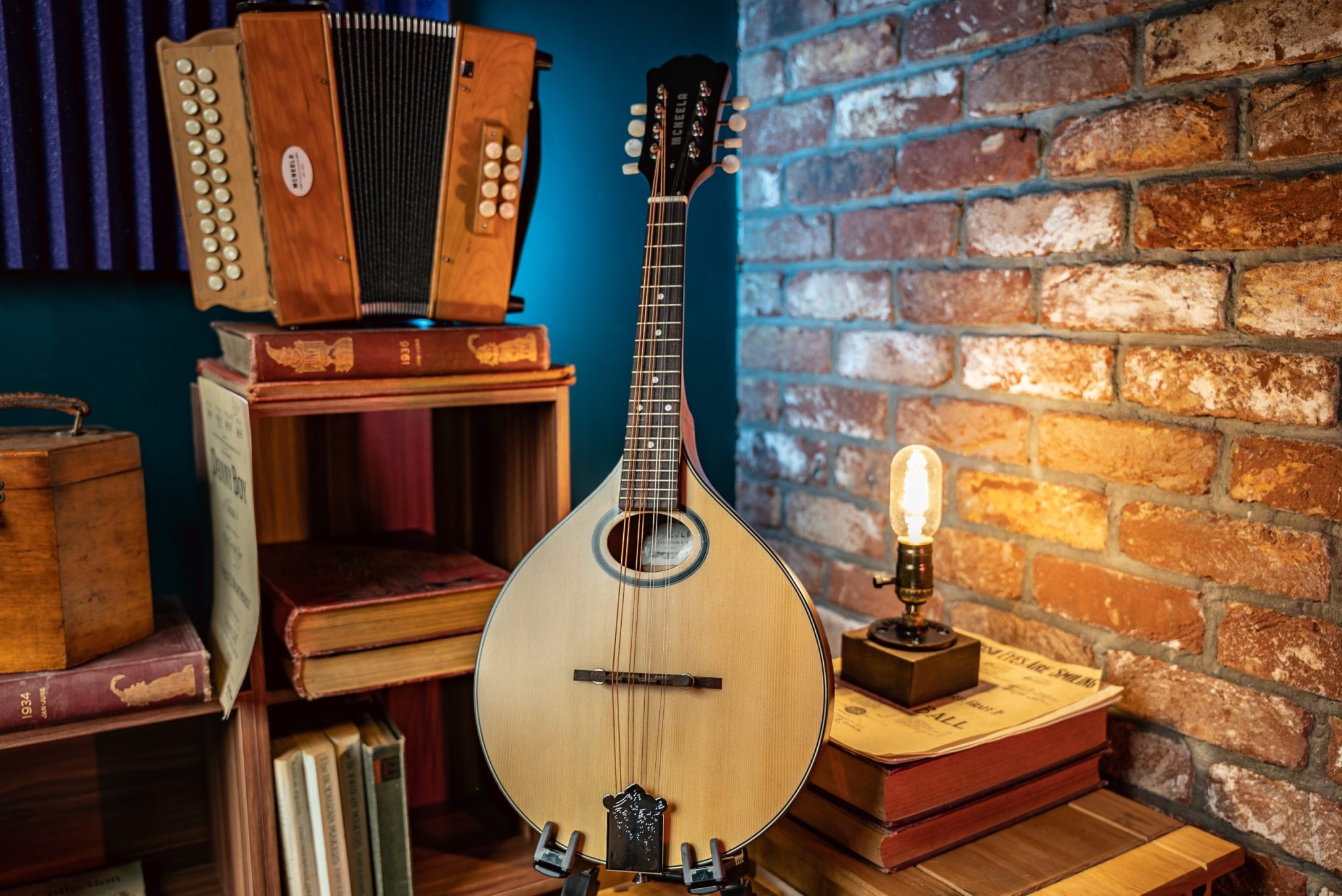 McNeela's Expert Guide To The Irish Mandolin