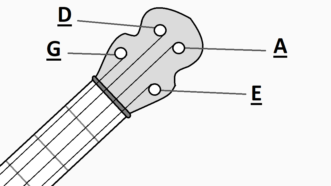 The Ultimate In-Depth Banjo Buyer’s Guide for Beginners