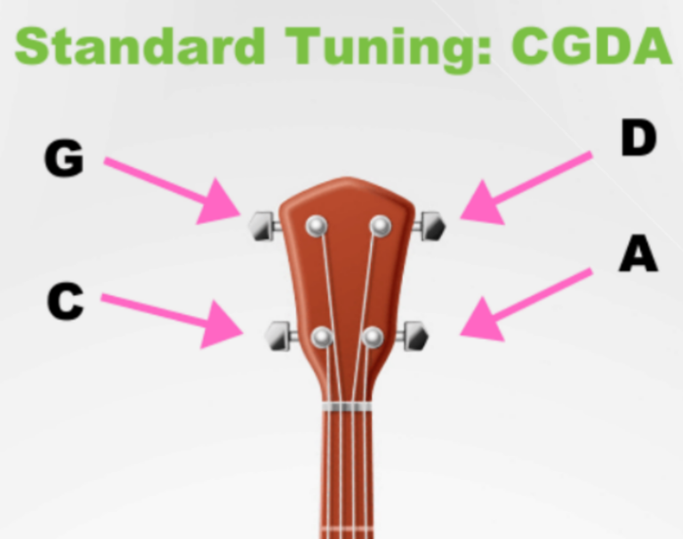 The Ultimate In-Depth Banjo Buyer’s Guide for Beginners