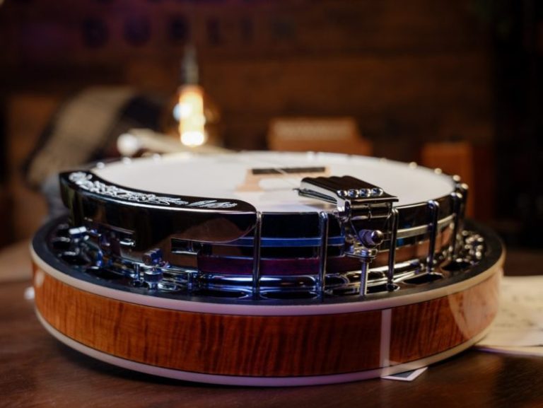 Best Banjo Brands in 2025 – McNeela Music’s Guide
